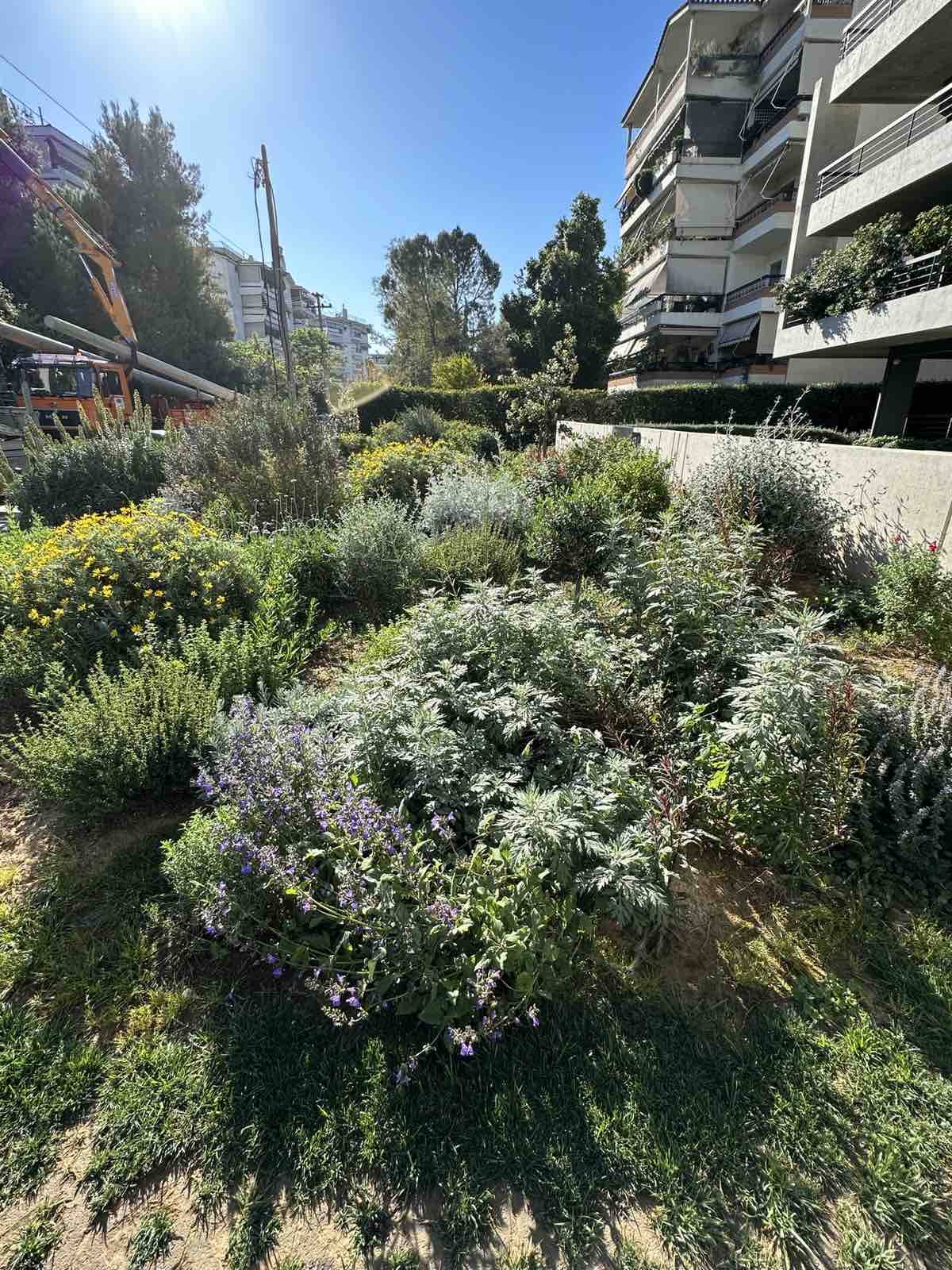 2020: Νέα 5όροφη πολυκατοικία με pilotis, υπόγειο & σοφίτες, Κλειούς 62 ...
